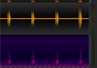 Ocenaudio tutorial – Macaulay Library