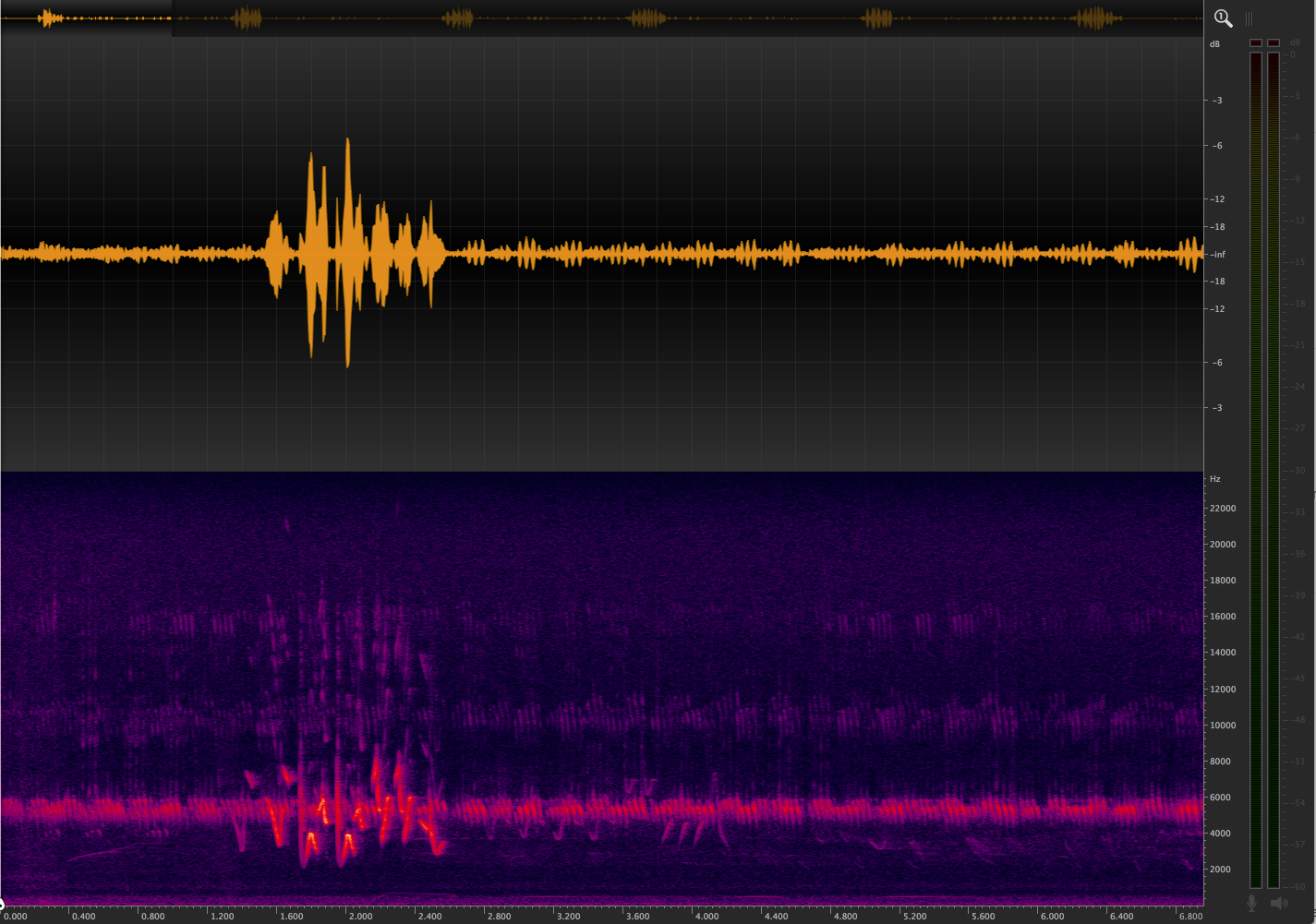 Ocenaudio tutorial – Macaulay Library