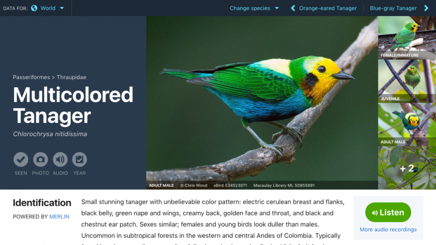 Macaulay Library – A scientific archive for research, education, and ...