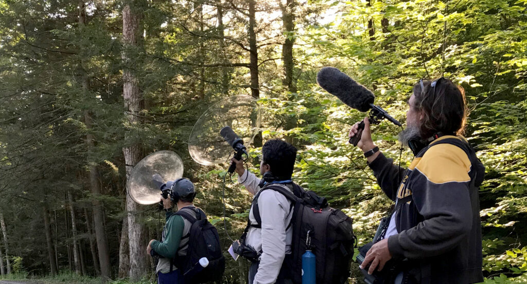 2019 Gear Review – Macaulay Library