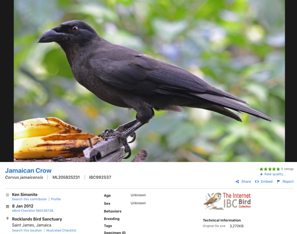 FAQs – Macaulay Library