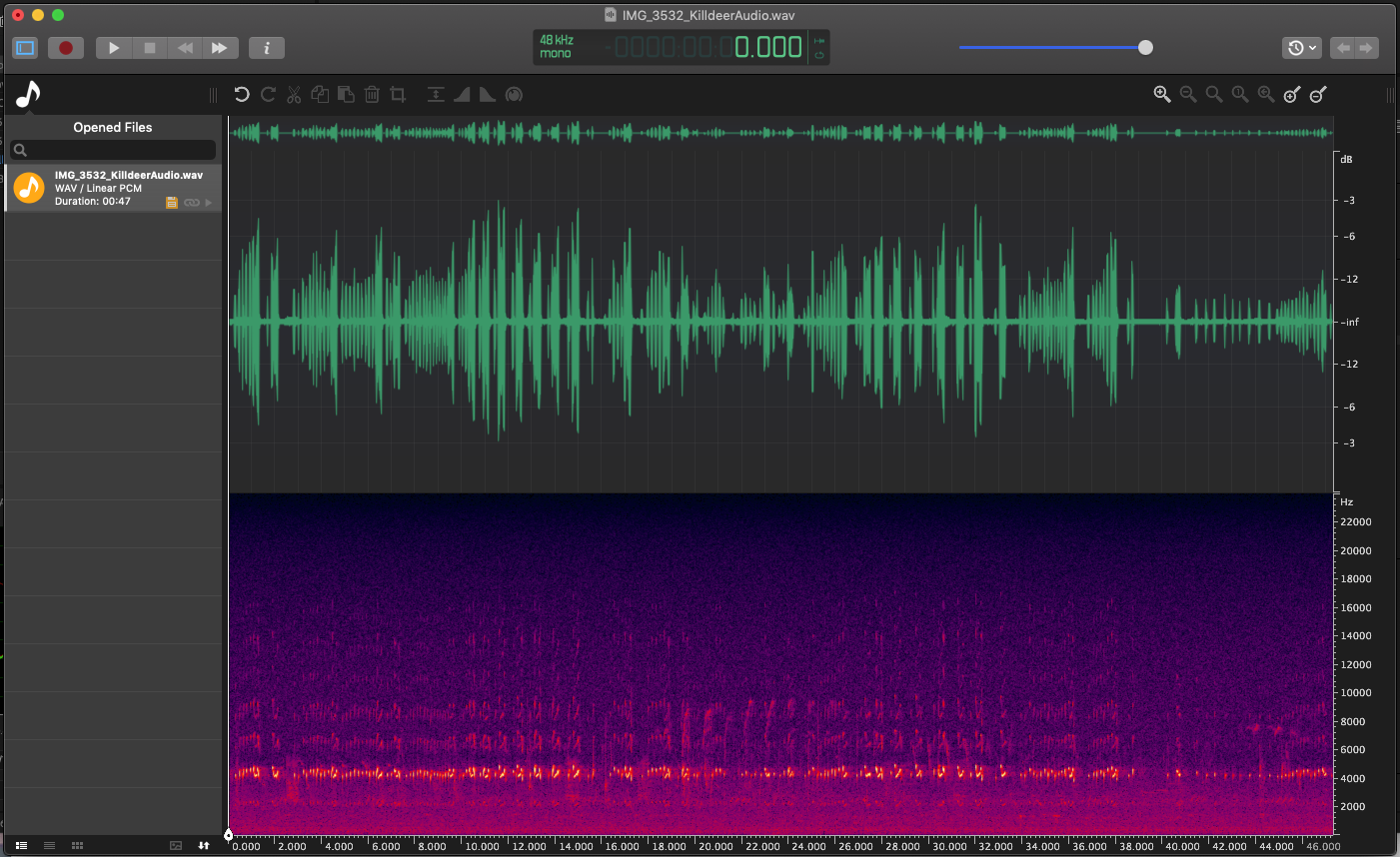 Extracting audio from a video – Macaulay Library
