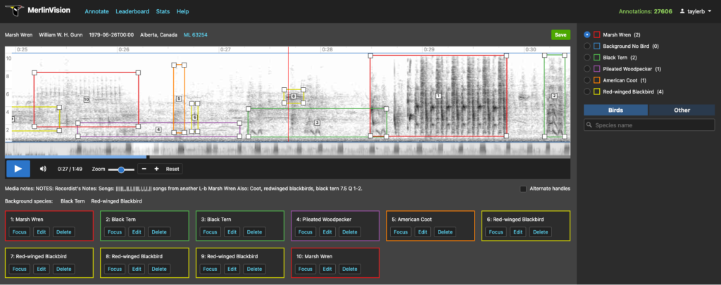 Behind the Scenes of Sound ID in Merlin – Macaulay Library