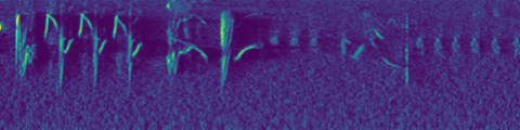 From Sound to Images, Part 2: Spectrogram Image Processing. – Macaulay ...