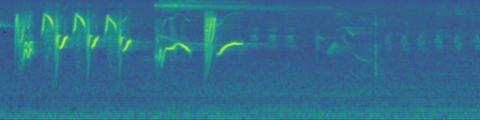 From Sound to Images, Part 2: Spectrogram Image Processing. – Macaulay ...